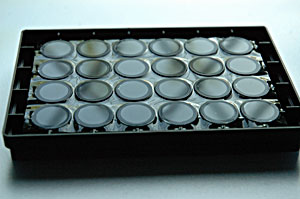 Imaging Plate FC, TC-Surface, 20/box | Boca Scientific