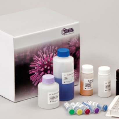 Anti-JCV IgG ELISA kit, 96 tests | Boca Scientific