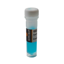 GRiSP PCR Kits: Xpert Fast SYBR (Blue)